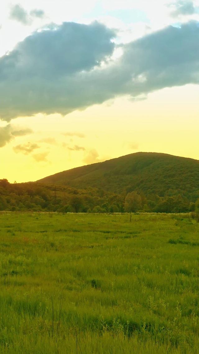 4k 夕阳下的草地(风景手机动态壁纸) - 风景手机壁纸下载 - 元气壁纸