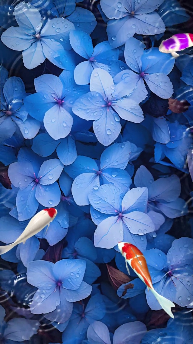 动态壁纸(风景手机动态壁纸) - 风景手机壁纸下载 - 元气壁纸