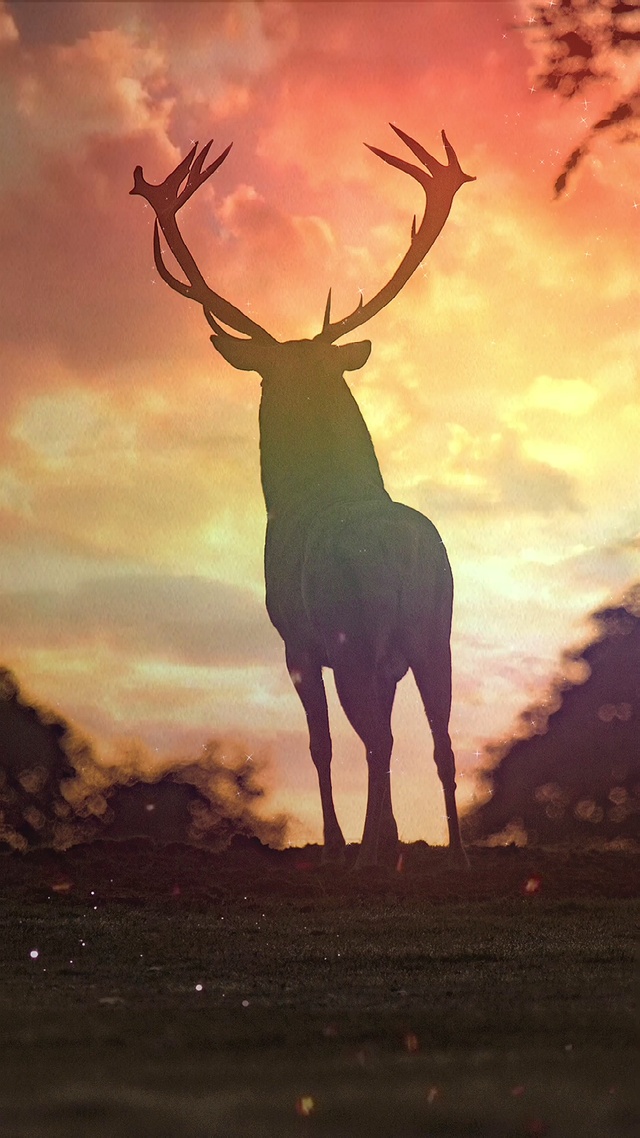 黄昏中的鹿(动物手机动态壁纸) - 动物手机壁纸下载 - 元气壁纸