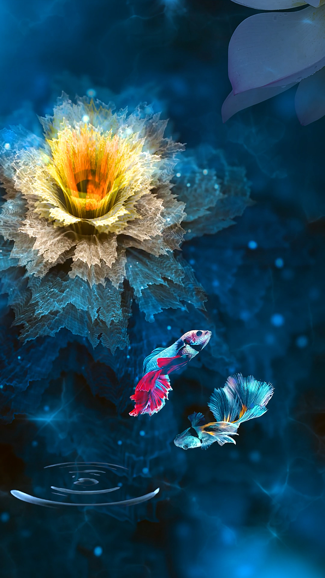 4k高清壁纸(风景手机动态壁纸) - 风景手机壁纸下载 - 元气壁纸