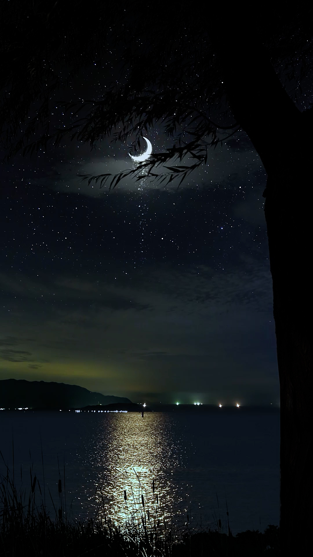 夜空(动漫手机动态壁纸) - 动漫手机壁纸下载 - 元气壁纸